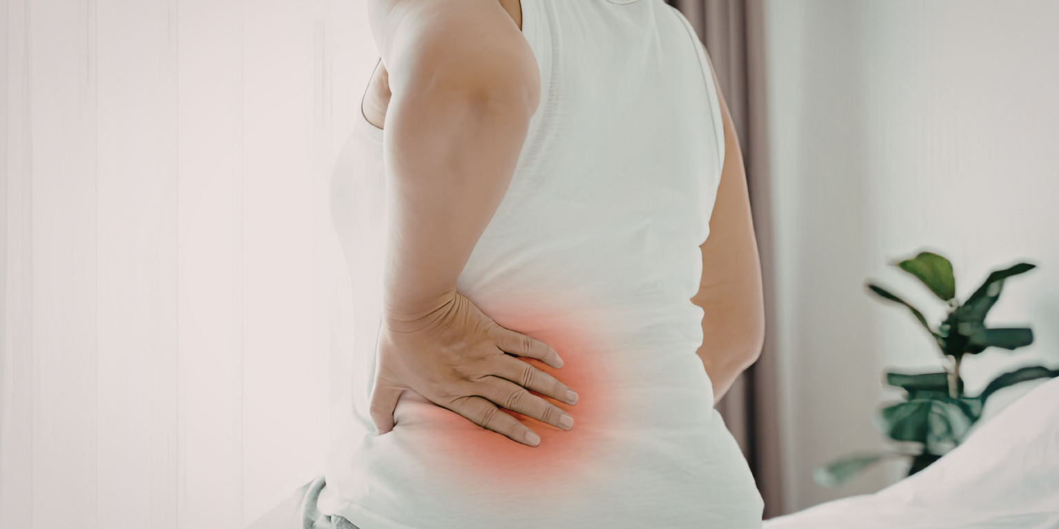 Multifidus Muscle Pain Relief & Recovery Guide | MVM Health